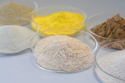 China Lipase Leather Enzyme Powder & Liquid 100,000-800,000 U/g Activity for Industrial Applications for sale