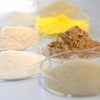 China Besthway Bleaching Enzyme Powder & Liquid for Pulp Processing | pH 6.0-11.0, 30-65℃ Temperature Range for sale
