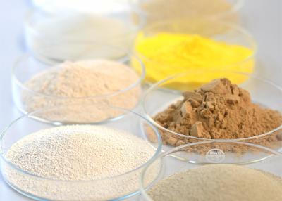 China Biogas Enzyme Powder Cellulase Hemicellulase 500g per Digester 25kg Bag for sale