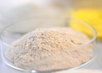 China Food Grade Thermostable Alkaline Protease Enzyme Powder 200,000-300,000 U/g for Food Processing for sale