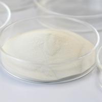 China Food Grade Fungal Amylase Powder 100,000 U/g for Baking and Brewing Applications with 18-Month Shelf Life for sale