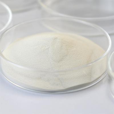 China Food Grade Fungal Amylase Powder 100,000 U/g for Baking and Brewing Applications with 18-Month Shelf Life for sale