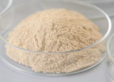 China Tannase Powder 300-500 U/g Beverage Enzyme Hydrolyze Tannins Improve Cold Solubility Juice Tea Beer for sale