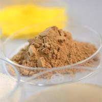 China Food Grade Oat Enzyme Powder with 50-60℃ Temperature Range and 18 Month Shelf Life for Wastewater Treatment for sale