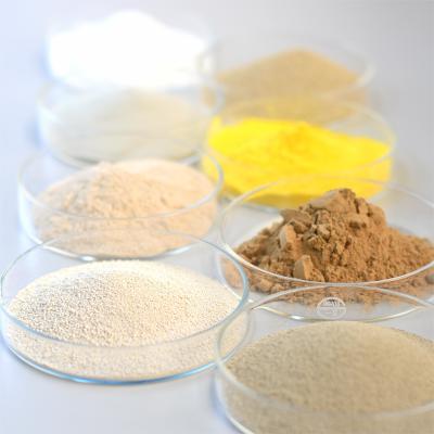 China Thermostable Alkaline Protease Meat Enzyme Powder 200,000-300,000 U/g for Food Processing for sale