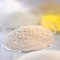 China Thermostable Alkaline Protease Enzyme Powder 200,000-300,000 U/g for Food Processing 30-65℃ Temperature Range for sale