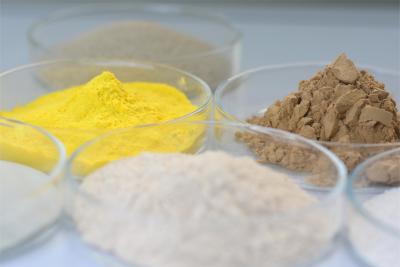 China Industrial Cellulase Hemicellulase Enzymes for Pulp & Paper - Powder/Liquid Form, pH 5.0-9.0, 30-65℃ Temperature Range for sale