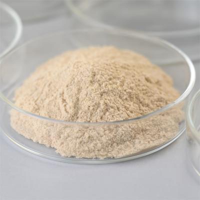 China ISO9001 Food Grade Pectinase Powder & Liquid - 10,000-30,000 U/g Enzyme Activity for Juice Processing for sale