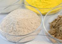 China Food Grade Tannase Enzyme Powder 300-500 U/g Activity for Beverage Processing with pH Range 4.0-6.0 for sale