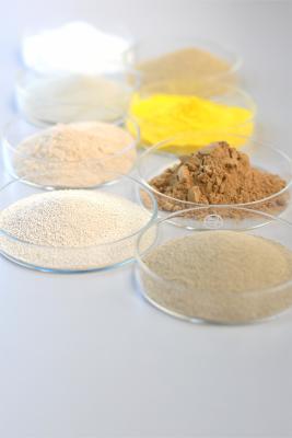 China Commercial Pectinase Enzyme Powder Liquid 10000-30000 U/g for Plant Extraction Juice Clarification for sale