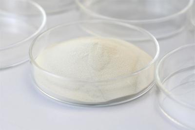 China Food Grade Phospholipase Enzyme Powder 2,000-10,000 U/g for Bread Flour and Noodle Production for sale