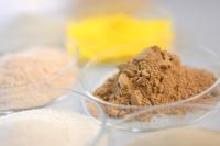 China Food Grade Neutral Protease Powder Enzyme 50,000-100,000 U/g for Protein Hydrolysis in Food Processing for sale
