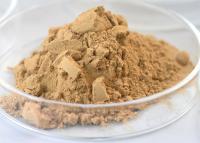 China Food Grade Neutral Protease Powder 50000-100000U/G for Industrial Food Processing Applications for sale