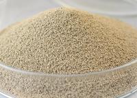 China Immobilized Lipase Granule 4000U/g for Biodiesel Production - pH 5.0-8.0, Temperature 30-50°C for sale