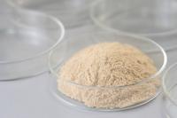 China Food Grade Mid-Temperature Amylase Powder & Liquid - 50,000-100,000 U/g Enzyme Activity for Baking & Fermentation for sale