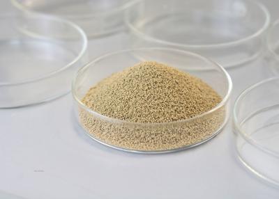 China Immobilized Lipase Granule Industrial Enzyme 4000U/g for Biodiesel Production with 18 Month Shelf Life for sale