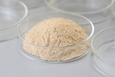 China 10000U/G Maltogenic Amylase Powder for Bakery Products - 30-50℃ Temperature Range, 5.0-8.0 pH Range for sale