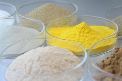 China Food Grade Xylanase Enzyme Powder & Liquid for Flour Improvement - 10,000-1,000,000 U/g Activity, 30-70℃ Range for sale