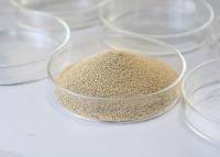 China Immobilized Lipase Enzyme 4,000U/g for Biodiesel Production - pH Range 5.0-8.0, Temperature 30-50℃ for sale