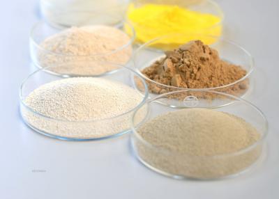 China Maltogenic Amylase Enzyme Powder 10,000 U/g for Baking - 20kg Barrel with 18 Month Shelf Life for sale