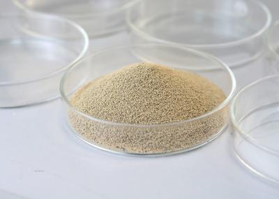 China Betelnut Specialized Enzyme： degrade the bitter and astringent substances for sale