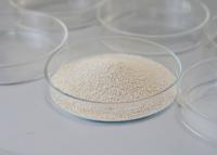 China Alpha Galactosidase Powder Enzyme 5,000-20,000 U/g for Food Grade Applications and Wastewater Treatment for sale