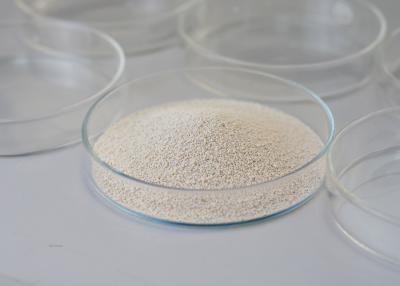 China Food Grade Lactase Enzyme Powder 2000-1000000 U/g for Low-Lactose Dairy Production for sale