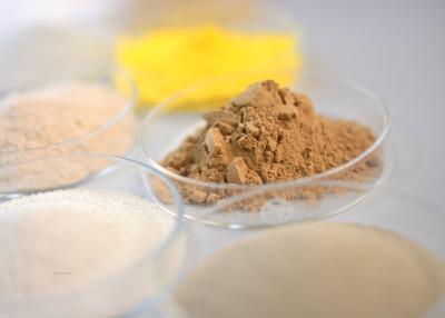China Food Grade Maltogenic Amylase Powder 10,000 U/g Enzyme for Baking with pH Range 5.0-8.0 and 30-50℃ Temperature for sale