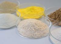 China Food Grade Cellulase Enzyme Powder 10,000-40,000 U/g for Fiber Degradation and Plant Extraction for sale