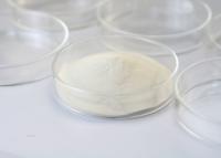 China Food Grade Lactase β-Galactosidase 2000-1000000 U/g Digestive Aid for Oligogalactose Production for sale