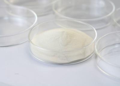 China Food Grade Lactase β-Galactosidase 2000-1000000 U/g Digestive Aid for Oligogalactose Production for sale