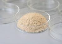 China Food Grade Alpha-Galactosidase Enzyme Powder 5,000-20,000 U/g Activity for Improved Nutrition & Digestion for sale