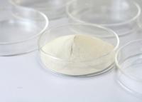 China ISO9001 Food Grade Glucose Oxidase Enzyme Powder & Liquid 10,000-30,000U/g for Baking & Food Preservation for sale