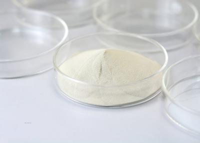 China ISO9001 Food Grade Glucose Oxidase Enzyme Powder & Liquid 10,000-30,000U/g for Baking & Food Preservation for sale