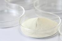 China Food Grade Lactase Enzyme β-Galactosidase 200000 U/g for Lactose Breakdown for sale
