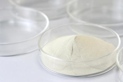 China Food Grade Lactase Enzyme β-Galactosidase 200000 U/g for Lactose Breakdown for sale