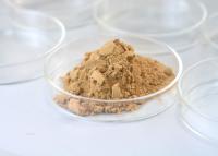 China Beer Specialized Multi Enzyme Powder for Brewing | pH 4.0-6.5, 40-65°C Temperature Range, 20kg Barrel Packaging for sale