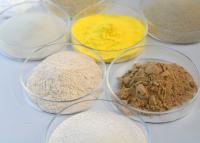 China Food Grade Peptidase Enzyme Powder & Granule 60,000-70,000U/g for Flavor Enhancement and Bitter Taste Reduction for sale