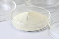 China ISO9001 Food Grade Lactase Powder 2,000-1,000,000 U/g Enzyme Activity for Dairy Processing for sale