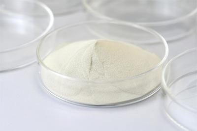 China ISO9001 Food Grade Lactase Powder 2,000-1,000,000 U/g Enzyme Activity for Dairy Processing for sale
