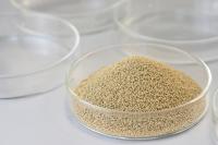 China Immobilized Lipase Enzyme Granules 4,000 U/g Activity for Biodiesel Production with 30-50℃ Temperature Range for sale