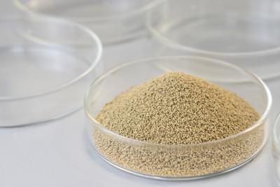 China Immobilized Lipase Enzyme Granules 4,000 U/g Activity for Biodiesel Production with 30-50℃ Temperature Range for sale