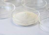 China Food Grade Glucose Oxidase Enzyme Powder & Liquid - 10,000-30,000 U/g Activity for Baking & Food Preservation for sale