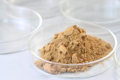 China Food Grade Glucoamylase Enzyme Powder & Liquid 100,000-200,000 U/g for Brewing & Food Processing for sale