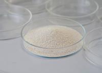 China Food Grade Alpha-Galactosidase Enzyme Powder 5,000-20,000 U/g for Improved Nutrition & Reduced Flatulence for sale