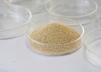 China Food Grade Immobilized Lipase Enzyme - 4,000 U/g Activity, 30-50℃ Temperature Range for Lipid Processing for sale