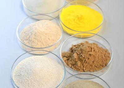 China Besthway Food Grade Betelnut Specialized Enzyme for sale