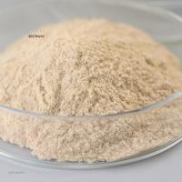 China Thermostable Alkaline Protease Enzyme Powder 200,000-300,000 U/g for Industrial Applications at 30-65℃ for sale