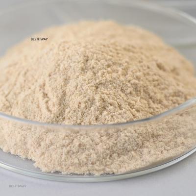 China Thermostable Alkaline Protease Enzyme Powder 200,000-300,000 U/g for Industrial Applications at 30-65℃ for sale