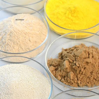 China OEM Washing Lipase Biodiesel Enzyme Powder & Liquid 100,000-800,000 U/g for Oil Removal in 30-70℃ Range for sale